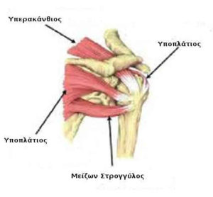 Σύνδρομο προστριβής του ώμου - ΝΕΡΟΥΤΣΟΣ ΕΛΕΥΘΕΡΙΟΣ